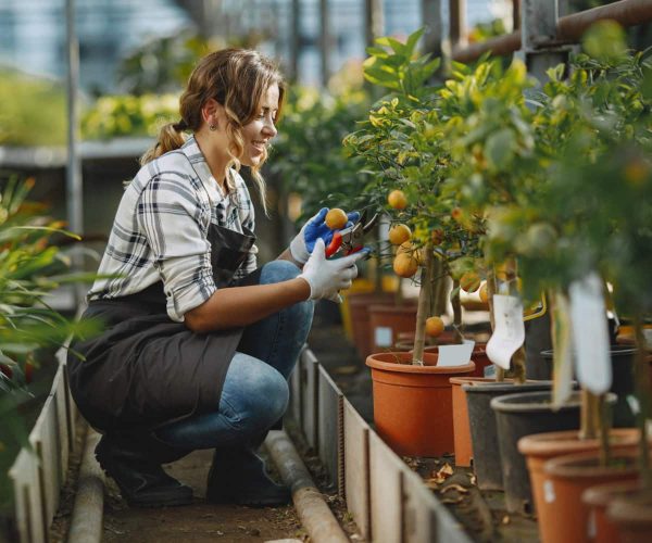 A Beginner’s Guide for Managing a Successful Farm – evagro